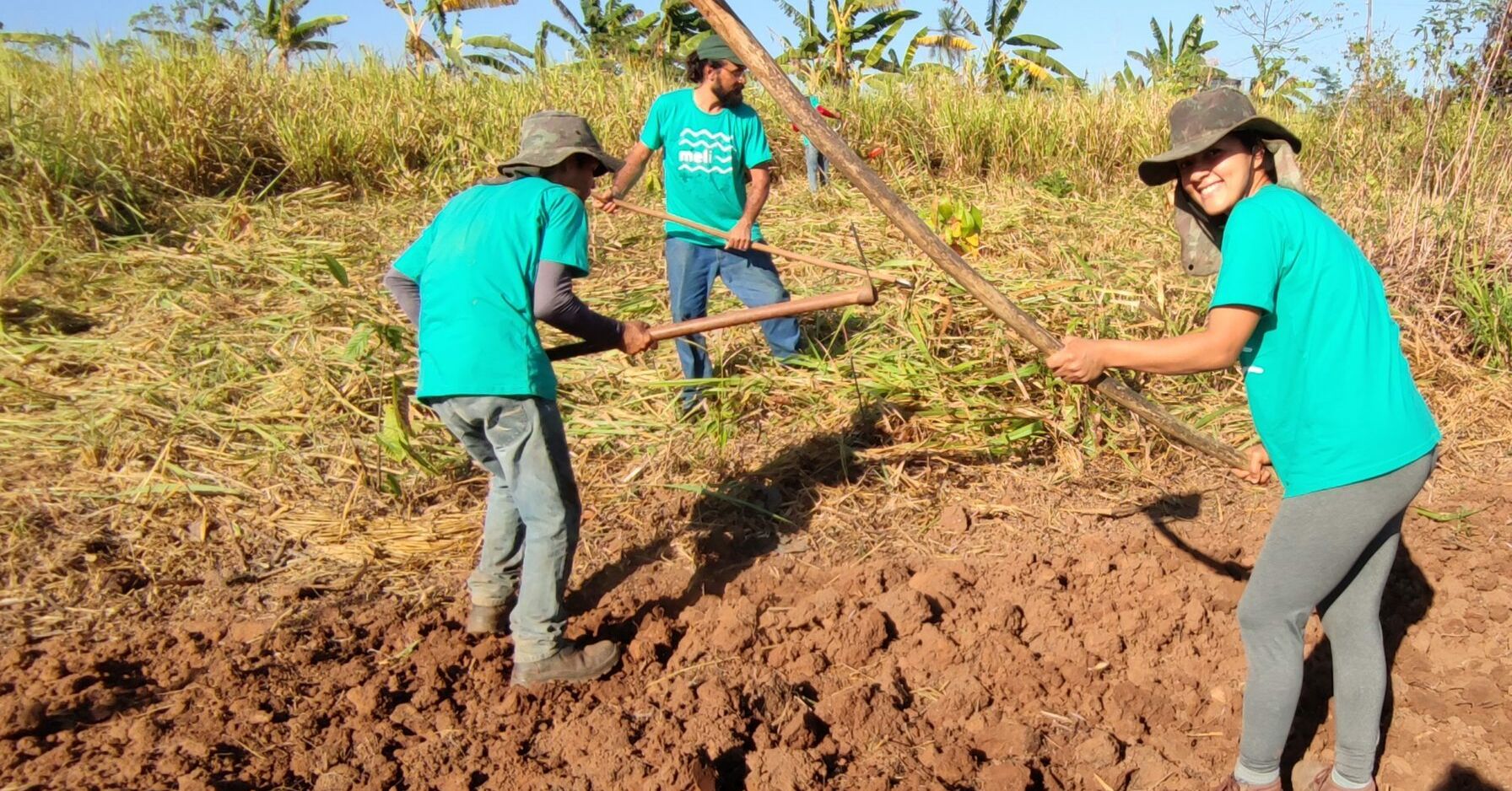 ¿Qué hace realmente Meli Bees? – HUMINTECH