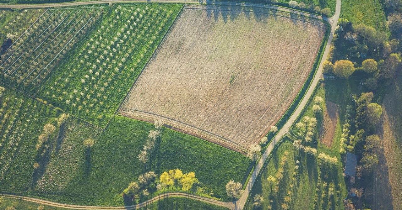 Upholding yields with less fertilization – HUMINTECH